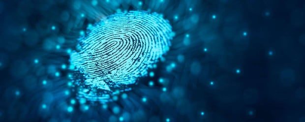 Caller authentication and identification